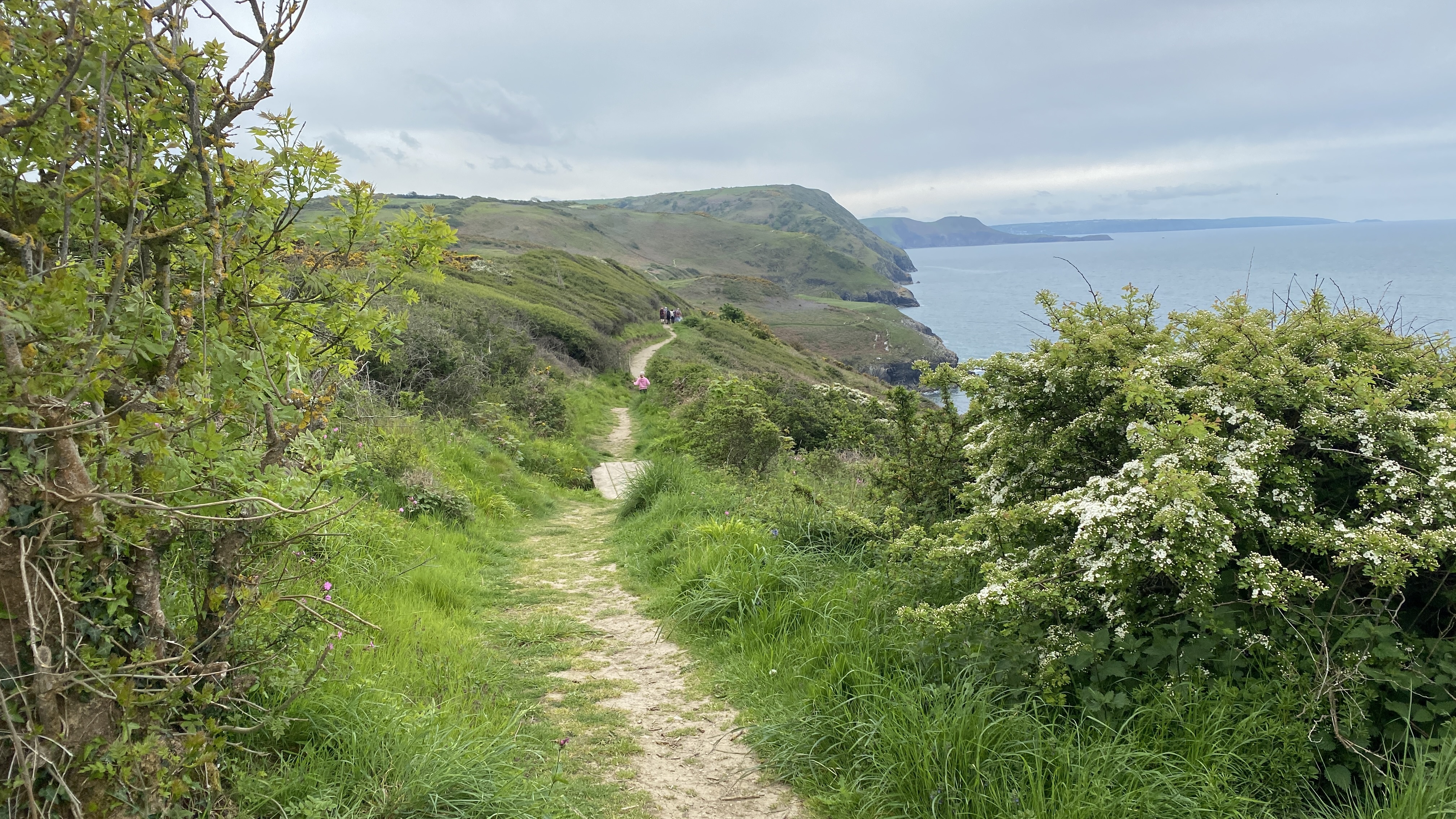New Quay circular - Merthyr Valley Ramblers