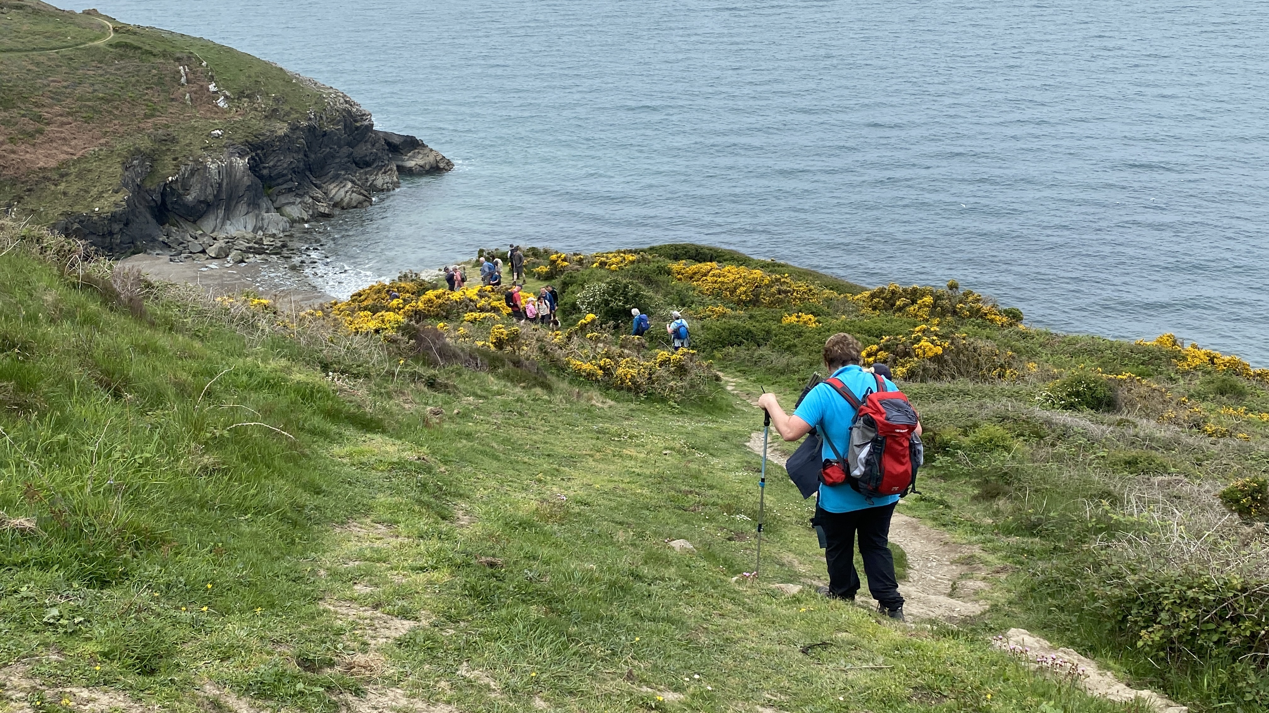 New Quay circular - Merthyr Valley Ramblers