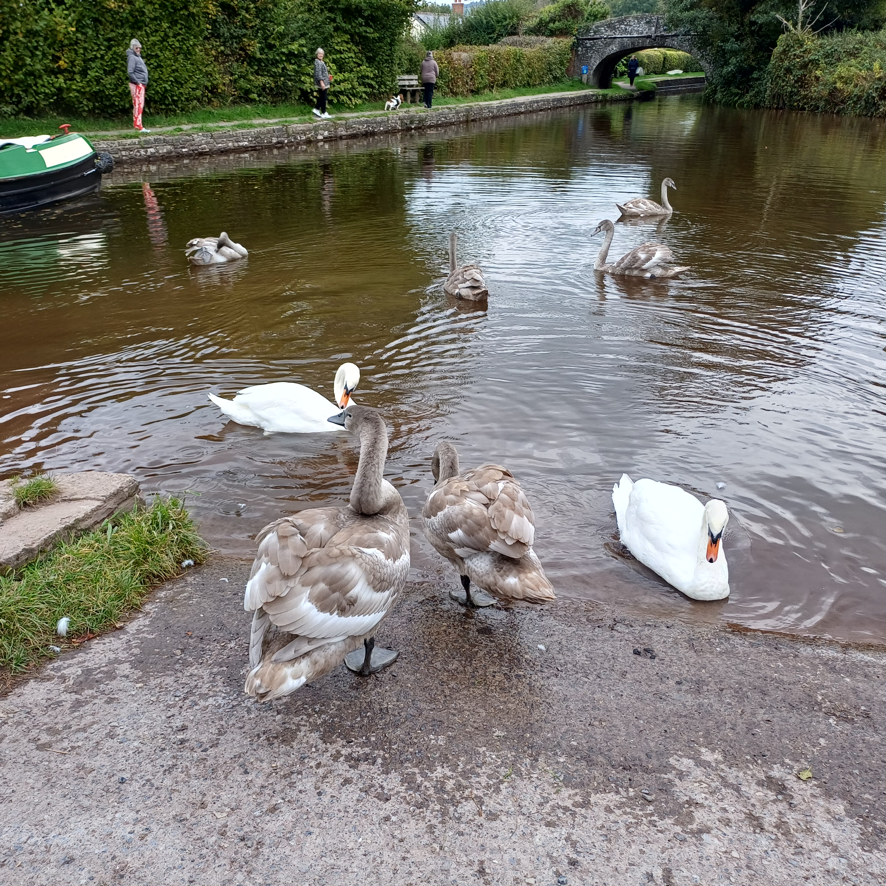 Pencelli & Llanfrynach Circular - Merthyr Valley Ramblers