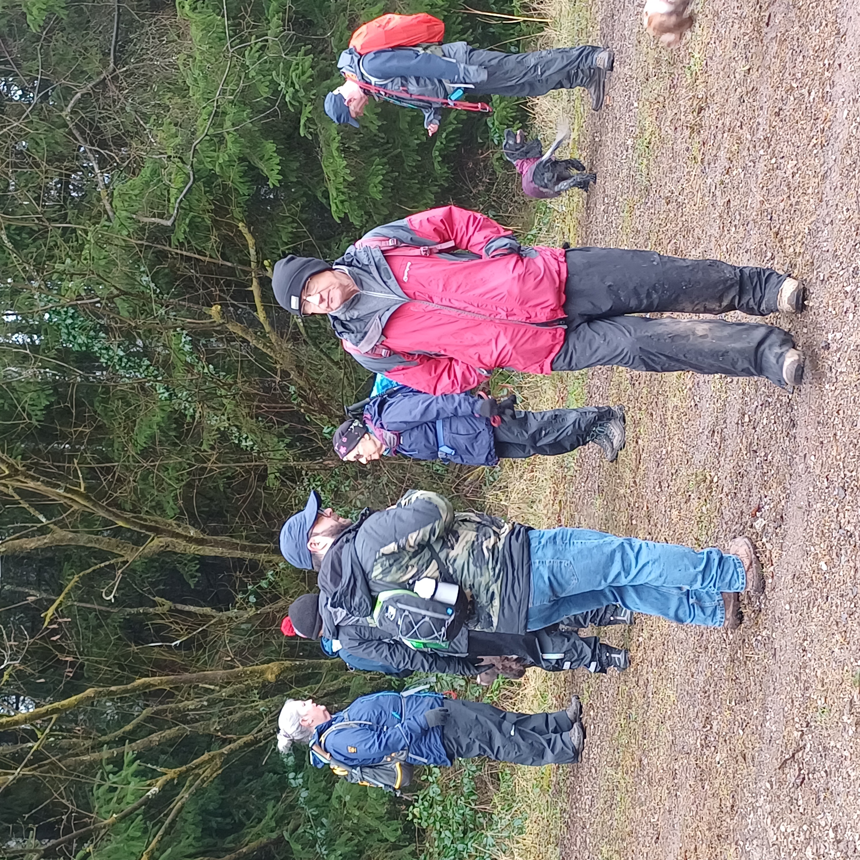 St Gwynno Forest - Merthyr Valley Ramblers