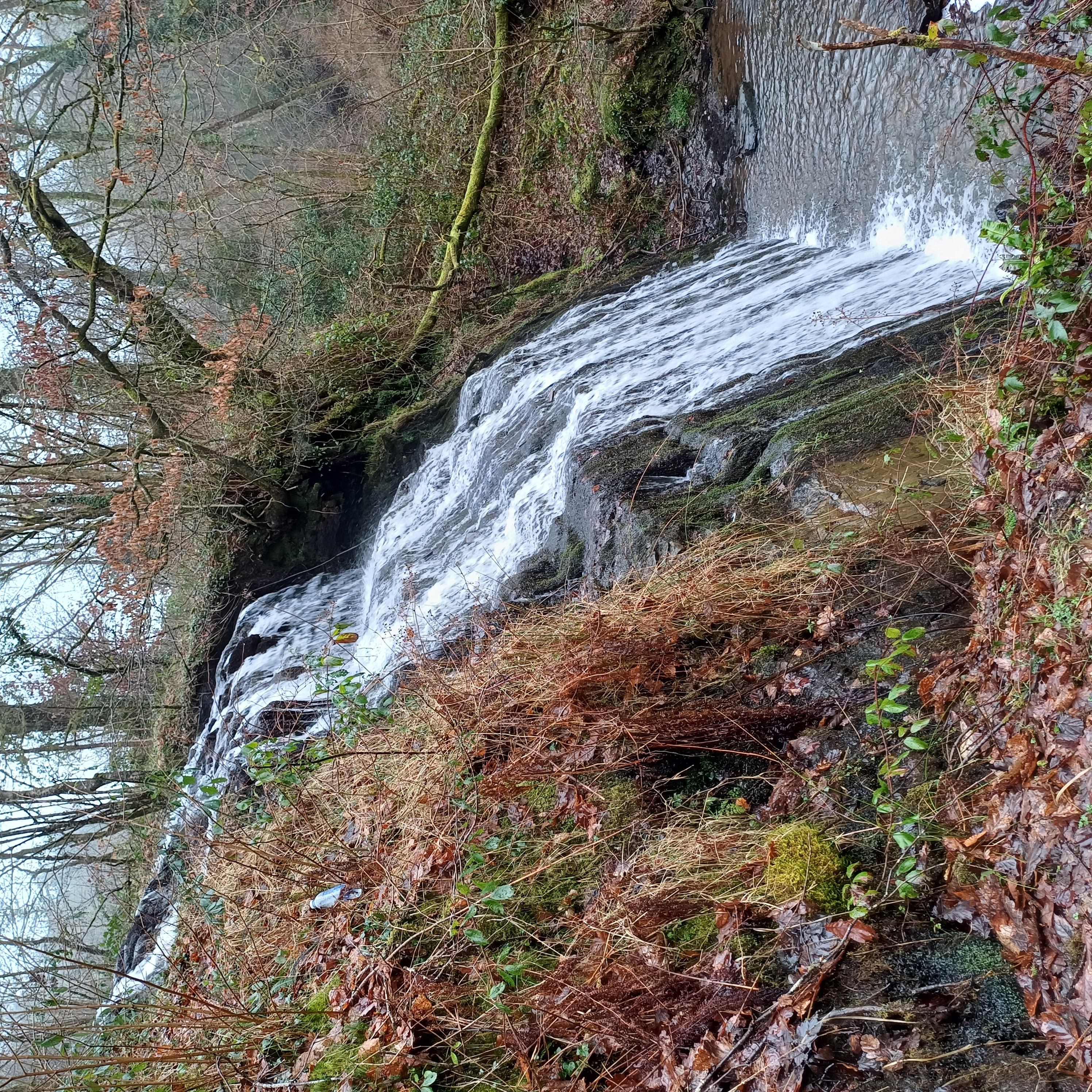 St Gwynno Forest - Merthyr Valley Ramblers